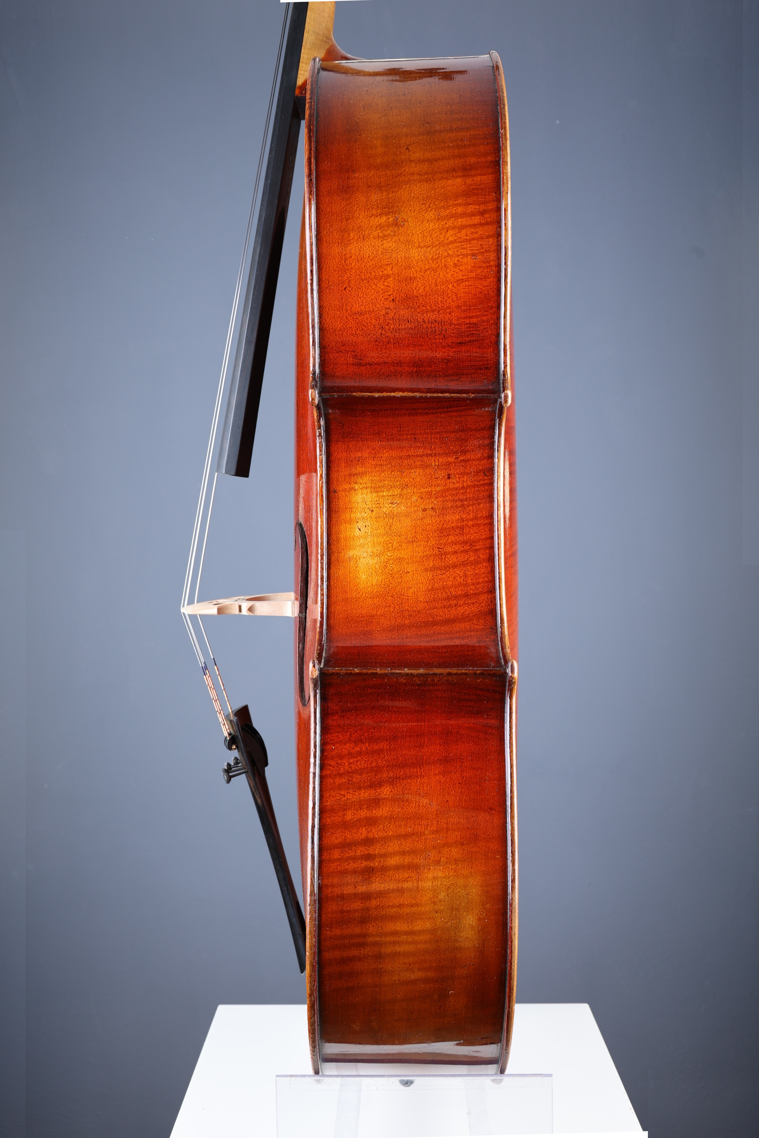 Schuster Carl Gottlob jun. - Markneukirchen anno 1923 - C-321 ...